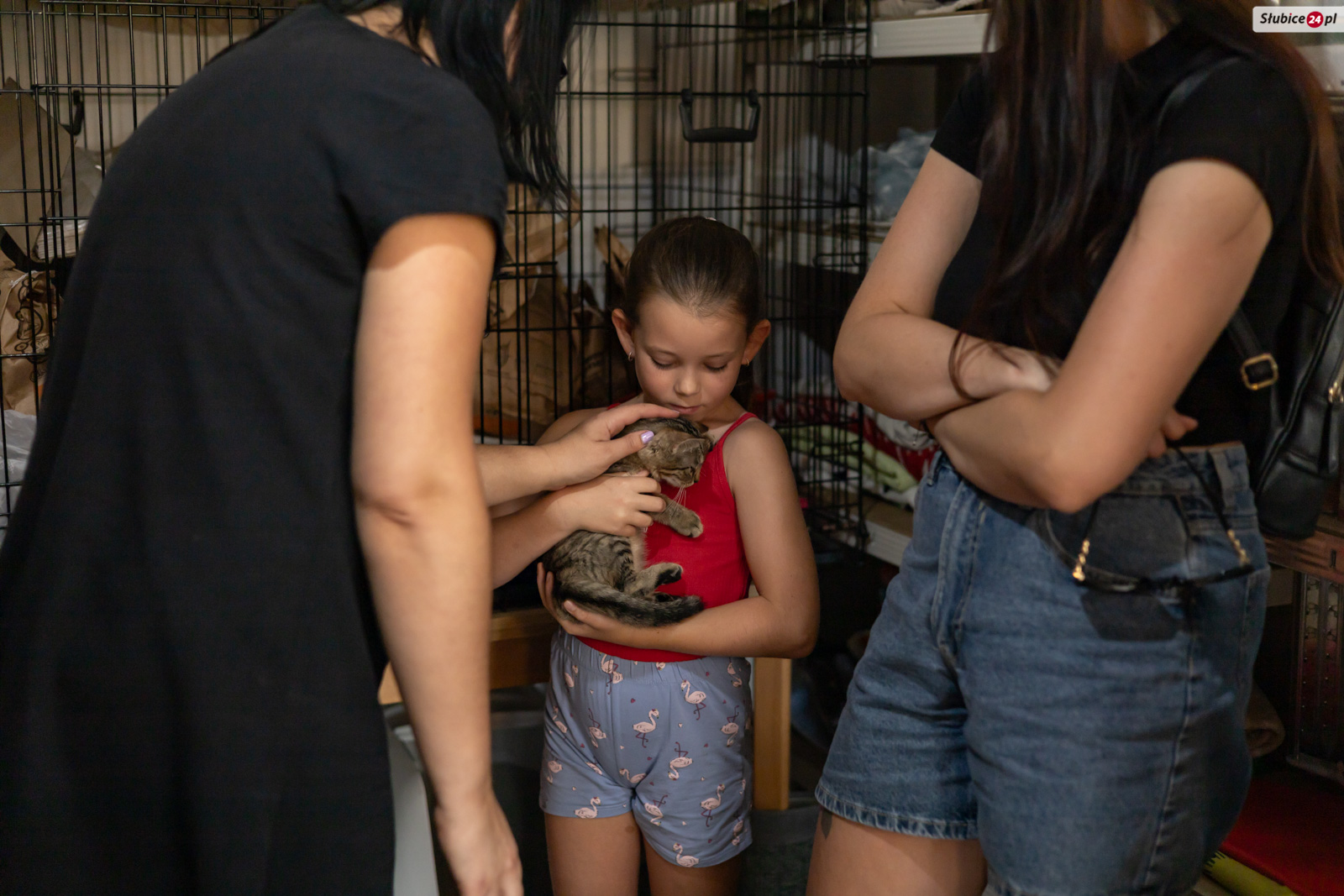 Słubice24.pl - Słodkości i szkolne gadżety w słubickiej kociarence. Przed-szkolne spotkanie z ...